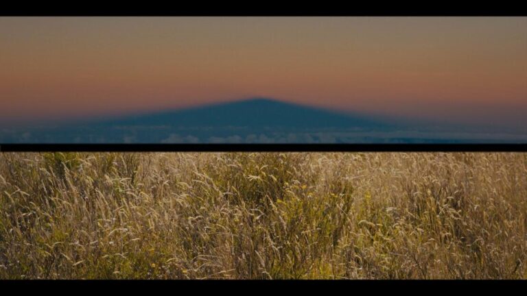4 Indigenous-Made Films Premiering at the 2021 Sundance Film Festival ...