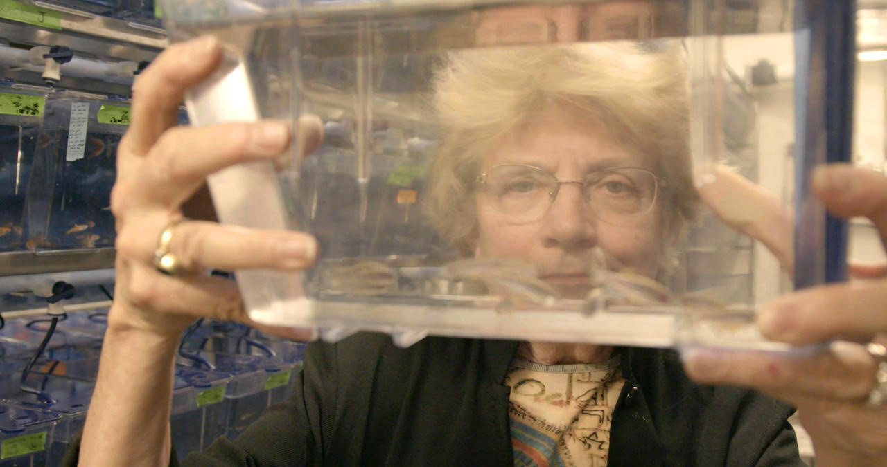 Sandbox Films - sundance.org