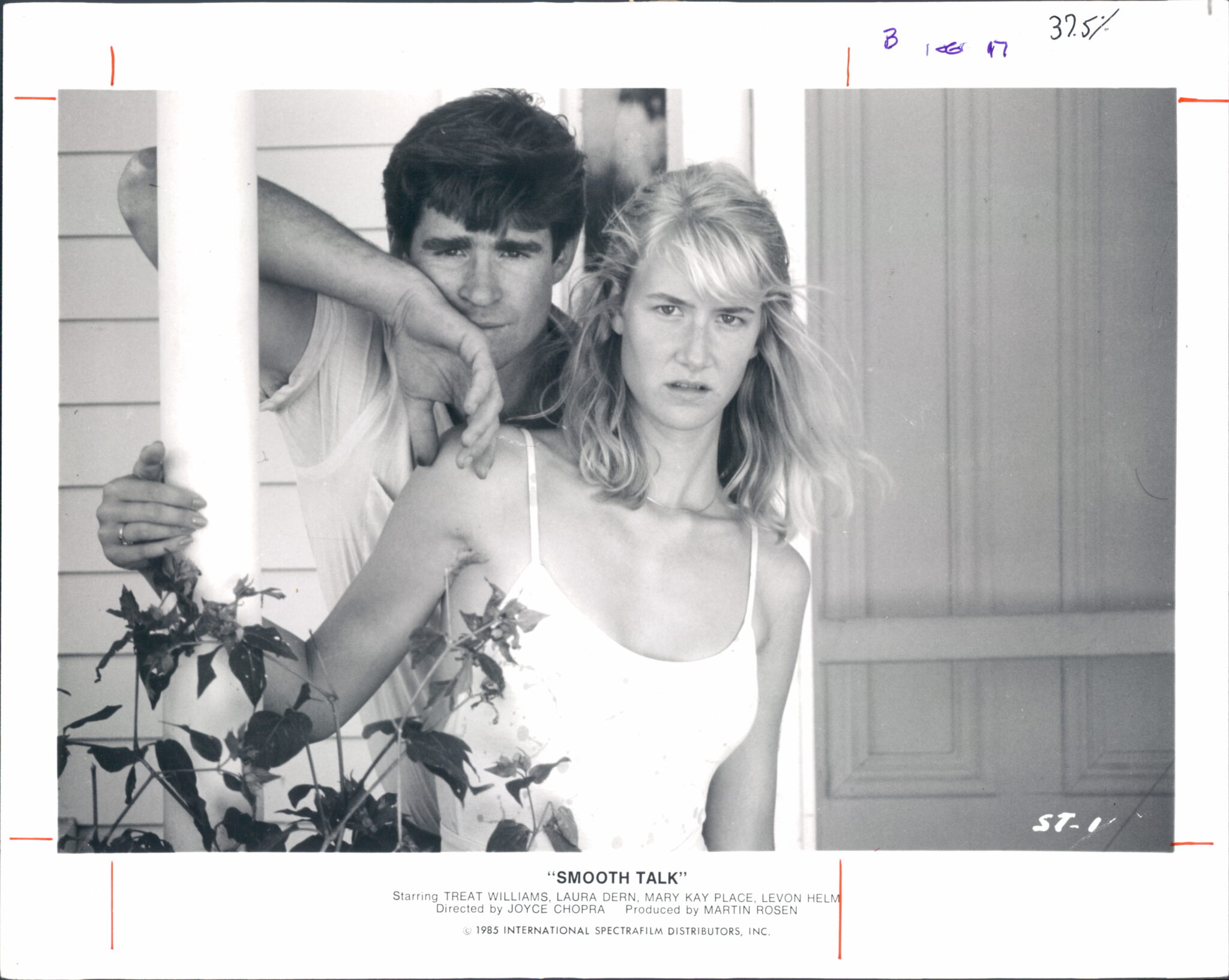 I Think I Understand: An Appreciation of Laura Dern’s Performance in ...