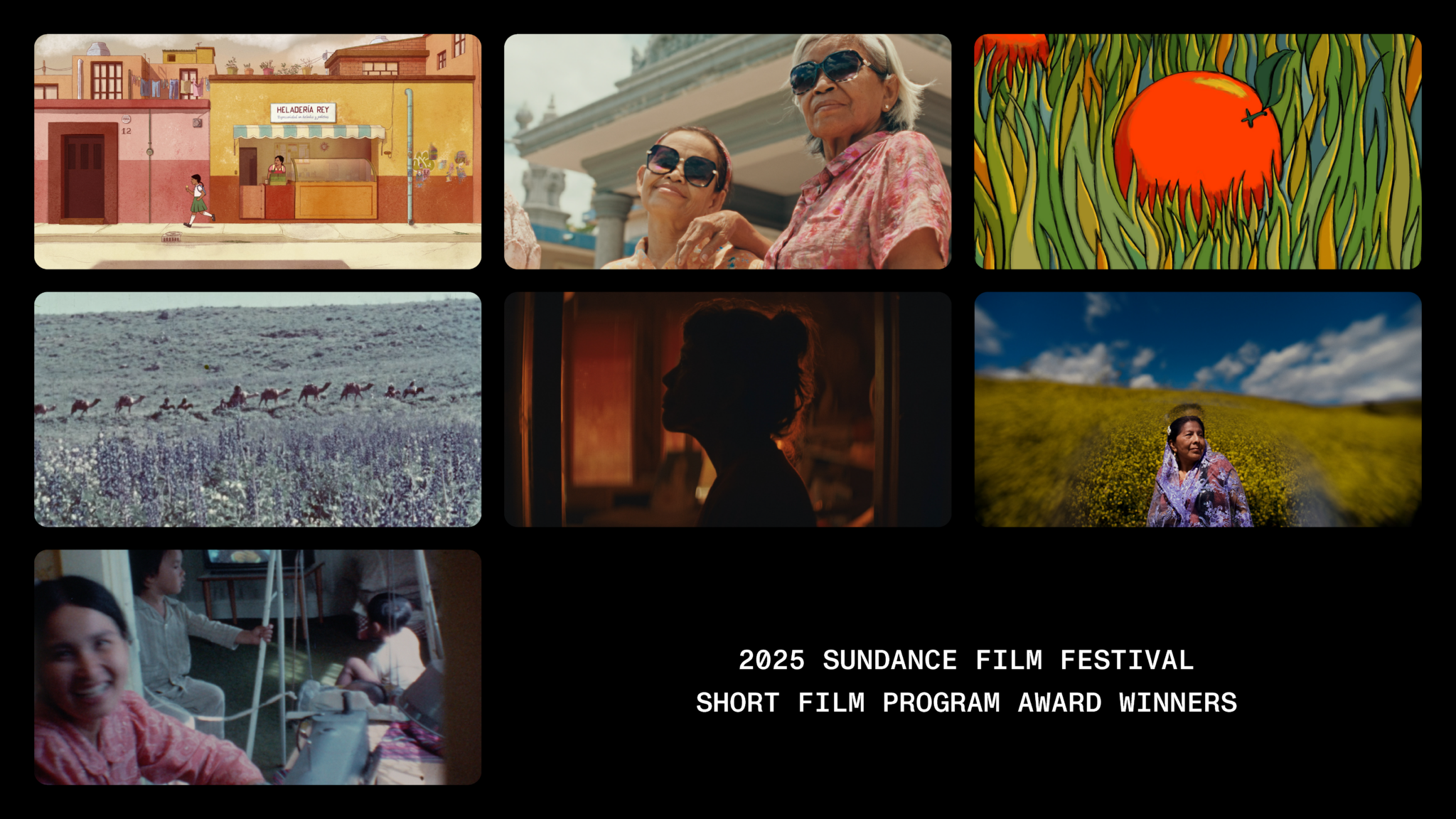 2025 Sundance Film Festival Short Film Program Award Winners Announced ...
