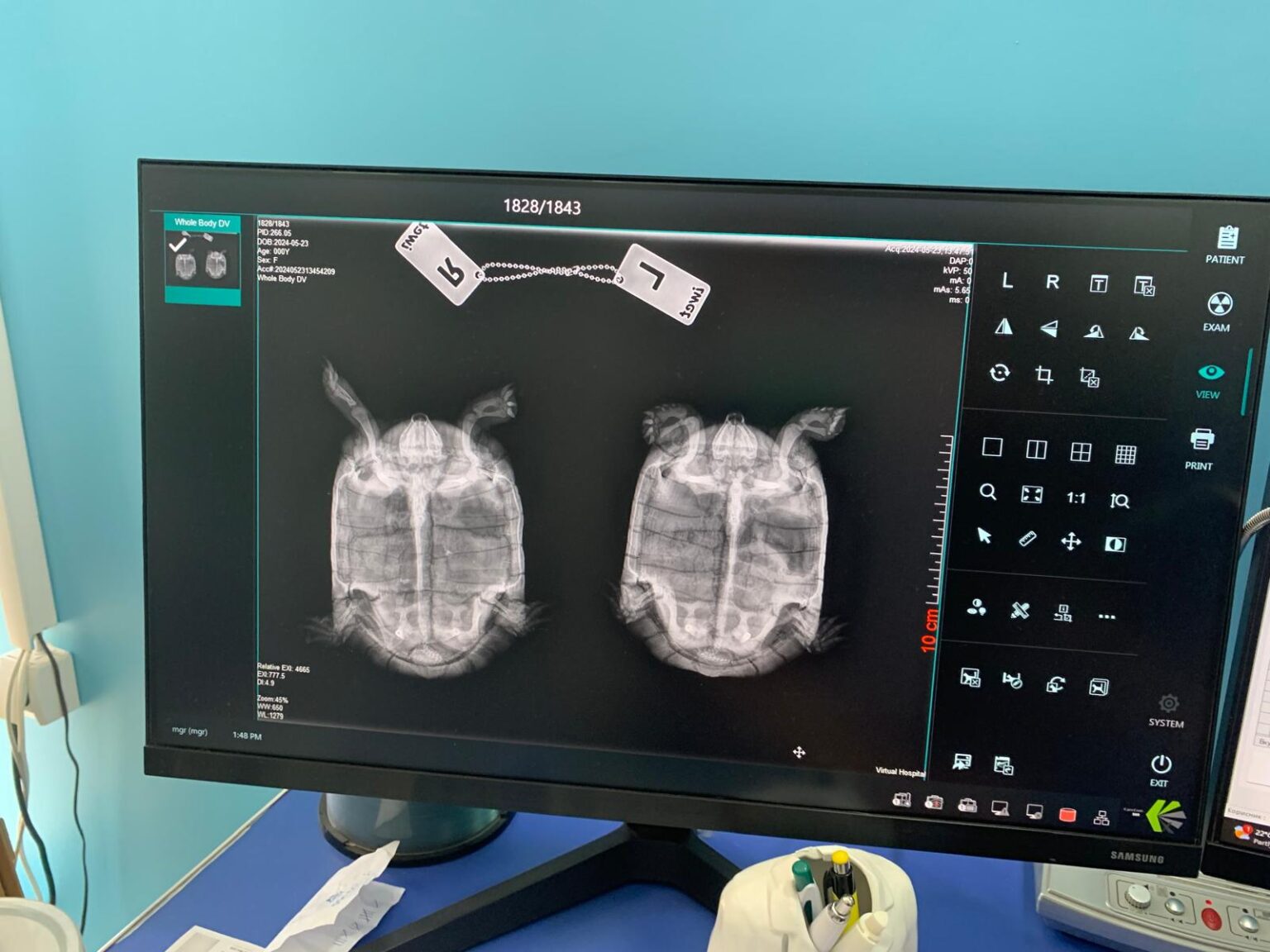 Sandbox Films - sundance.org